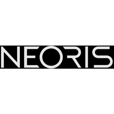 ☑️Neoris (consulting branch of CEMEX Group) — Consulting Organization ...