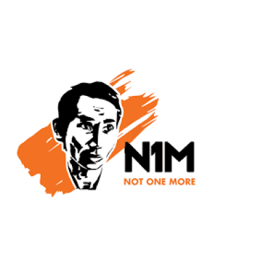 ☑️Not1More Trust - N1M — Consulting Organization from Brazil ...