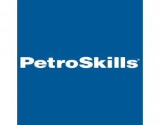 ☑️Petro Skills — Consulting Organization from USA, experience with WB ...