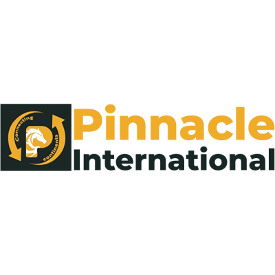 ☑️Pinnacle International — Supplier from India, experience with WB ...