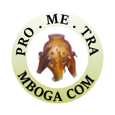 ☑️PROMETRA International — NGO from Senegal — Advocacy, Health sectors ...