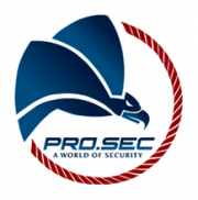 ☑️InnoSec — Consulting Organization from Israel, experience with ...