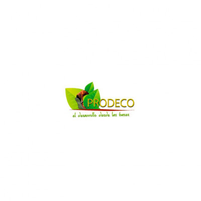☑️Proyecto De Desarrollo Comunitario (PRODECO - BOLIVIA) — NGO from ...