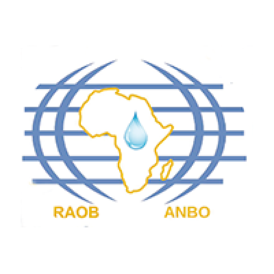☑️Réseau Africain des Organismes de Bassin (RAOB) — Consulting ...