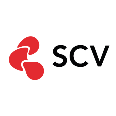 ☑️SCV GmbH — Consulting Organization from Germany, experience with ...