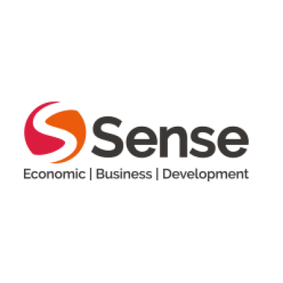 ☑️Economic Sense — Consulting Organization from South Africa ...