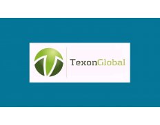 ☑️Texon Global Pvt Ltd. — Consulting Organization from India ...