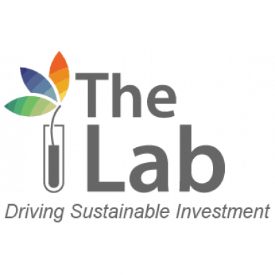 ☑️The Global Innovation Lab for Climate Finance — Consulting ...