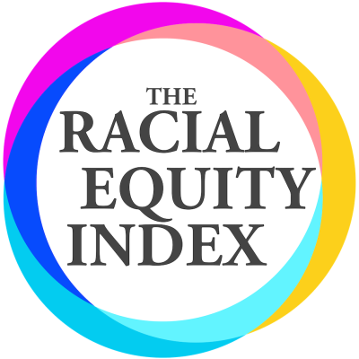 ☑️The Racial Equity Index — NGO from Switzerland — Human Rights sector ...