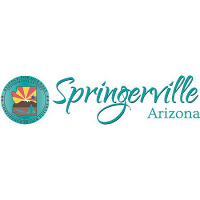 Town of Springerville — Government Body from USA — Public ...
