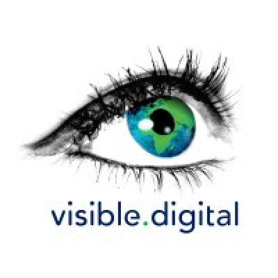 ☑️visible.digital — Consulting Organization from France, experience ...