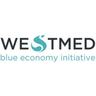 Westmed Initiative — Government Body from Italy — Macro-Econ. & Public ...
